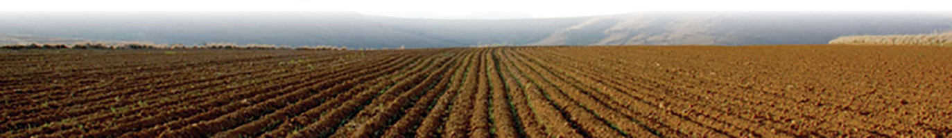 Graan SA-voorlegging aan Grondkomitee: Graan en grondhervorming het ...