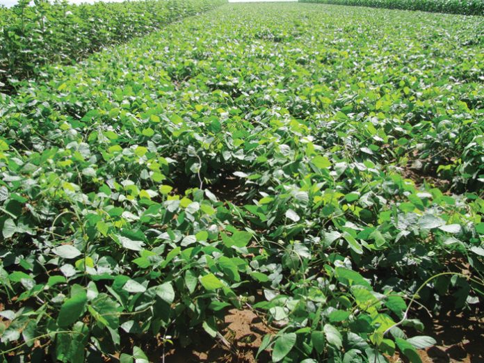 Integrated crop and pasture-based livestock production systems – Part ...