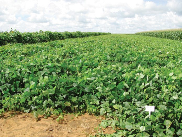 Integrated crop and pasture-based livestock production systems – Part ...