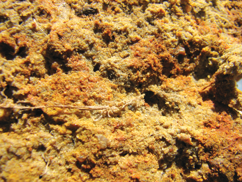 GROND: DIE PRODUSENT SE BELANGRIKSTE BATE Deel 5: Fisiese ...