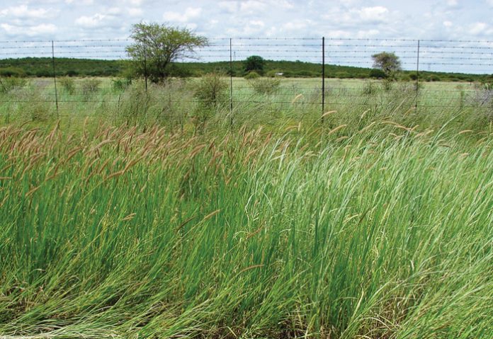 Integrated crop and pasture-based livestock production systems – Part 6 ...