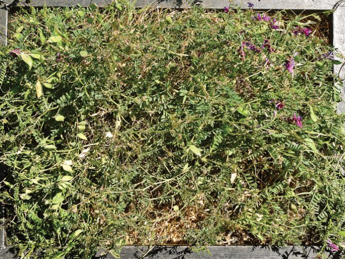 Integrated crop and pasture-based livestock production systems – Part ...