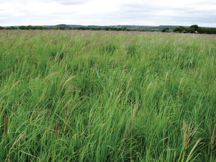 Integrated crop and pasture-based livestock production systems – Part 3 ...