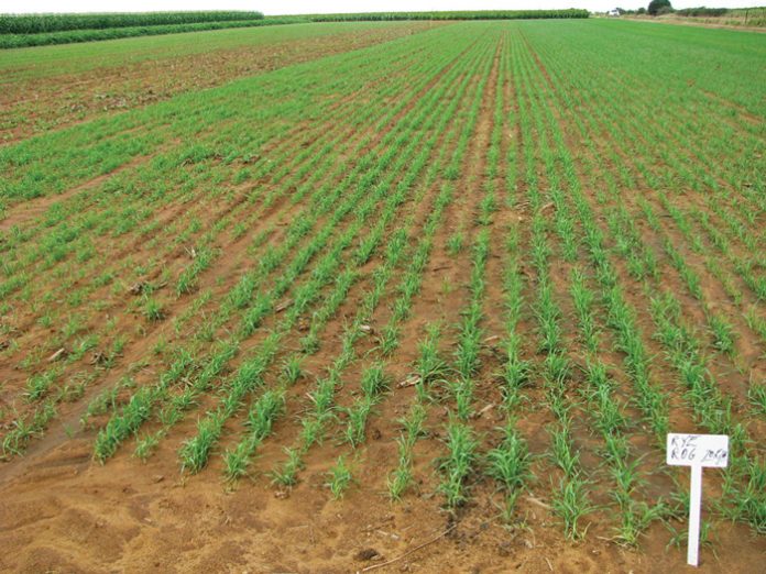 Integrated crop and pasture-based livestock production systems – Part ...