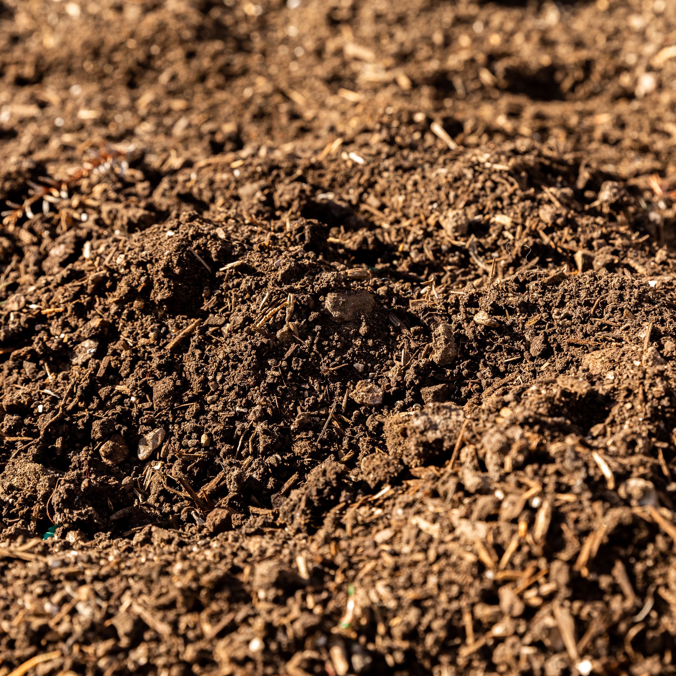 SOIL: THE PRODUCER’S MOST IMPORTANT ASSET Part 22: Soil formation - SA ...