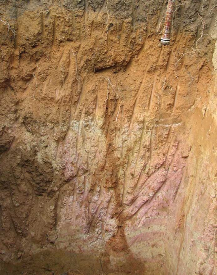 SOIL: THE FARMER’S MOST IMPORTANT ASSETPart 24: Soil classification (i ...