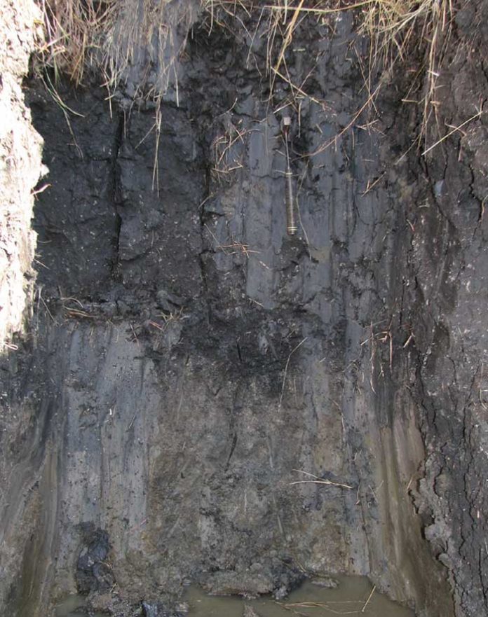 SOIL: THE FARMER’S MOST IMPORTANT ASSETPart 24: Soil classification (i ...