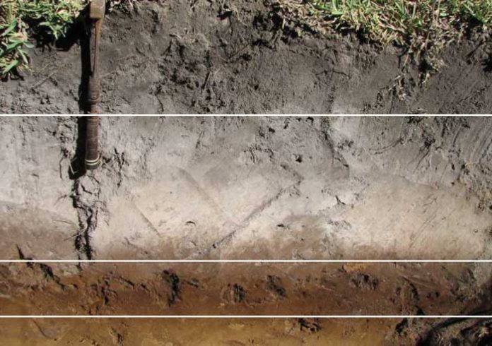 SOIL: THE PRODUCER’S MOST IMPORTANT ASSETPart 25: Soil classification ...