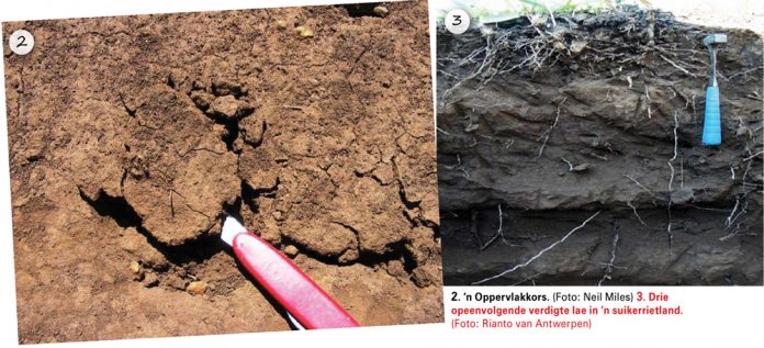 Voor- en nadele van grondvoorbereiding in bewaringsboerdery - SA Grain