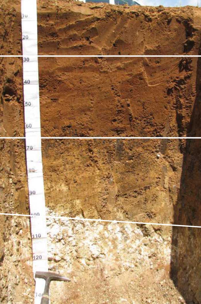 Grond: Die produsent se belangrikste bateDeel 25: Grondklassifikasie ...