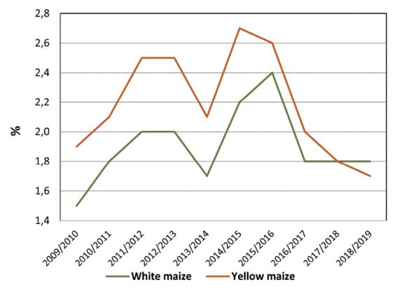 Maize crop in the spotlight - SA Grain