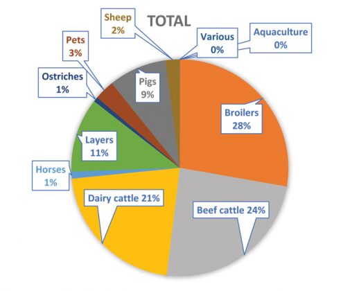 Broiler feed – impact of feed conversion ratios and exports - SA Grain