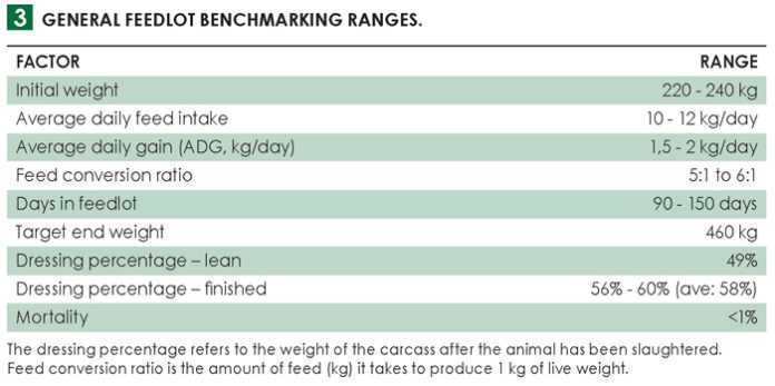 The ins and outs of beef feedlot economics - SA Grain