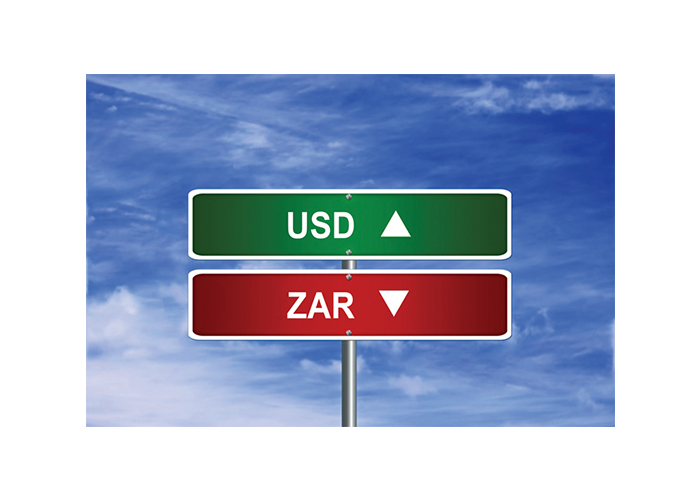A beginner’s guide to hedging against risk in the exchange rate - SA Grain
