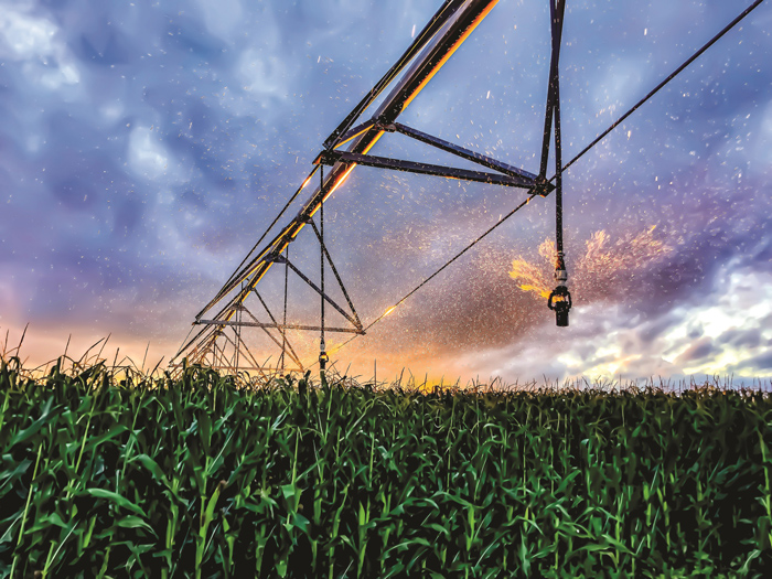 Marges van gewasse onder besproeiing vergelyk - SA Grain
