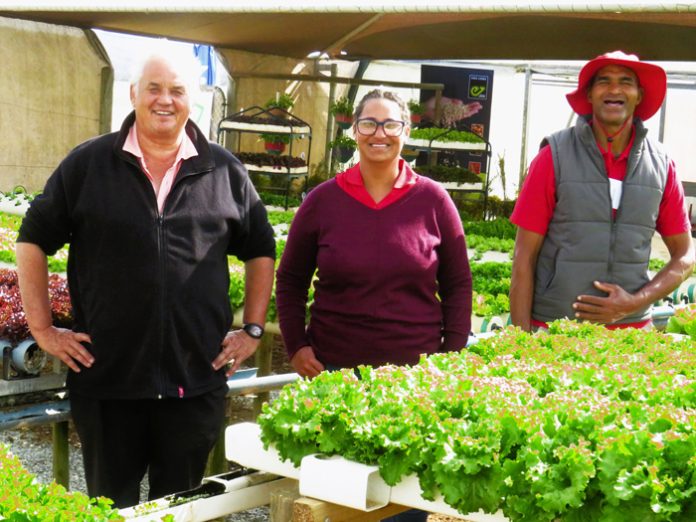 Grondlose boerdery bied kontantopsies - SA Grain