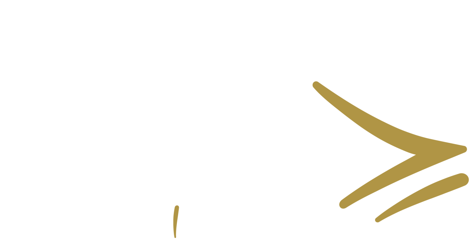 SA Graan/Grain November 2025 - SA Grain