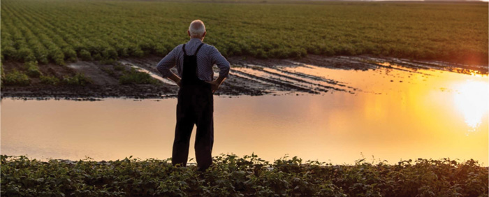 Wie staan pa vir afloopwater op bewerkte landerye? - SA Grain