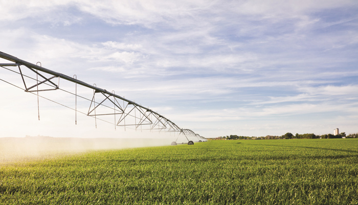 Pest control through irrigation - SA Grain