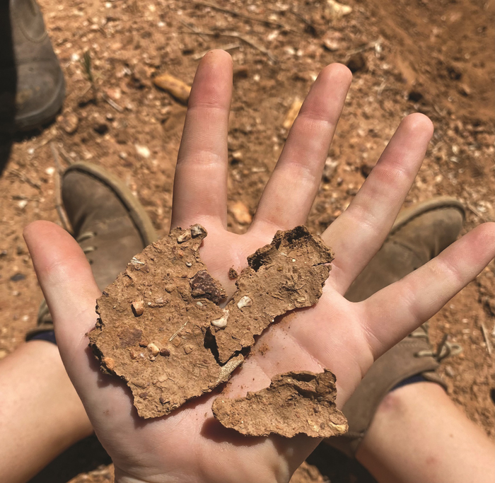 GYPSUM and CALCIUM sources tackle high sodium levels in soils - SA Grain