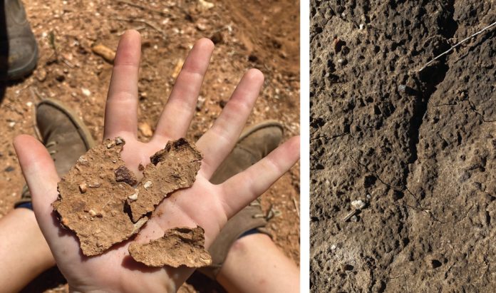 GYPSUM and CALCIUM sources tackle high sodium levels in soils - SA Grain