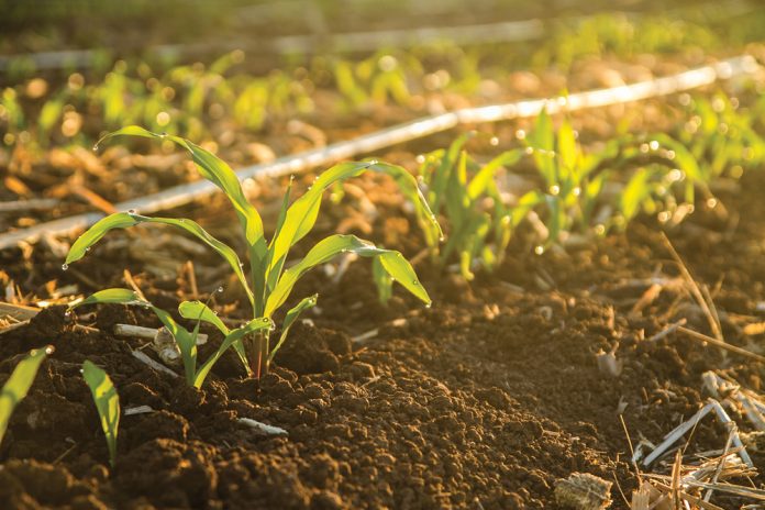 Grondbeginsels vir doeltreffende PRESISIEBESPROEIING - SA Grain