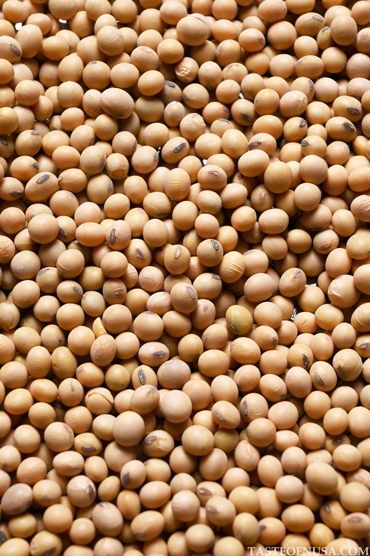 SOJABOON-DIFFERENSIAAL: Hoe presteer die alternatiewe model? - SA Grain